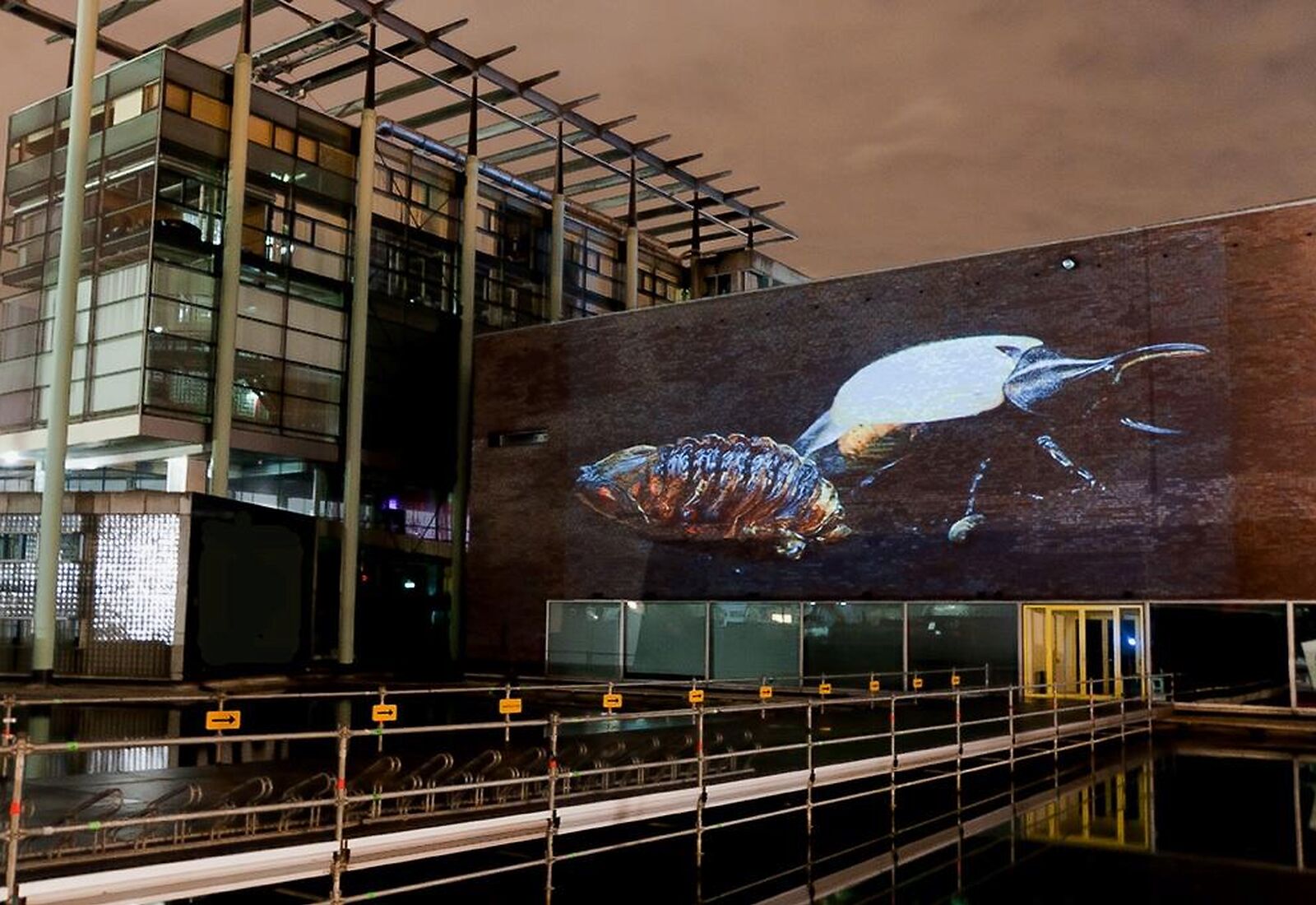 BEETLE | Projects | A Two Dogs Company - Kris Verdonck